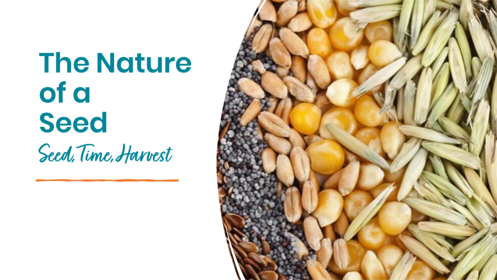 Seed, Time, Harvest - Gathering Church Viridian